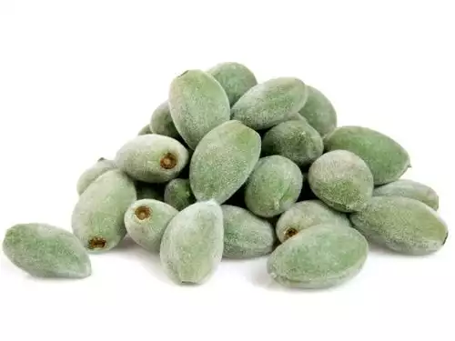 Badam Green 250Gm – Freshlee Shop